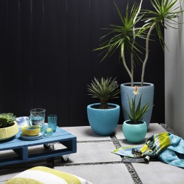 On Display in Christchurch